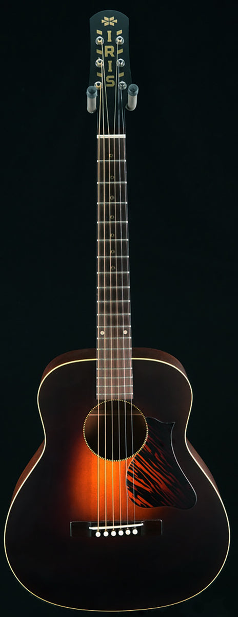 DE-11 Dan Erlewine Signature Prototype Model – StayGoldGuitars